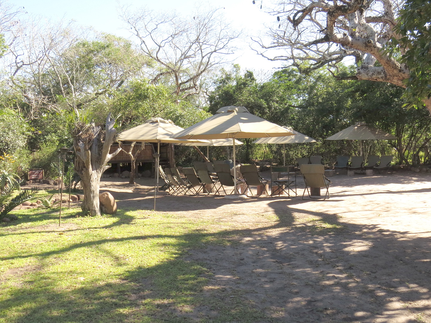 Tembe Lodge – Birds are our Story
