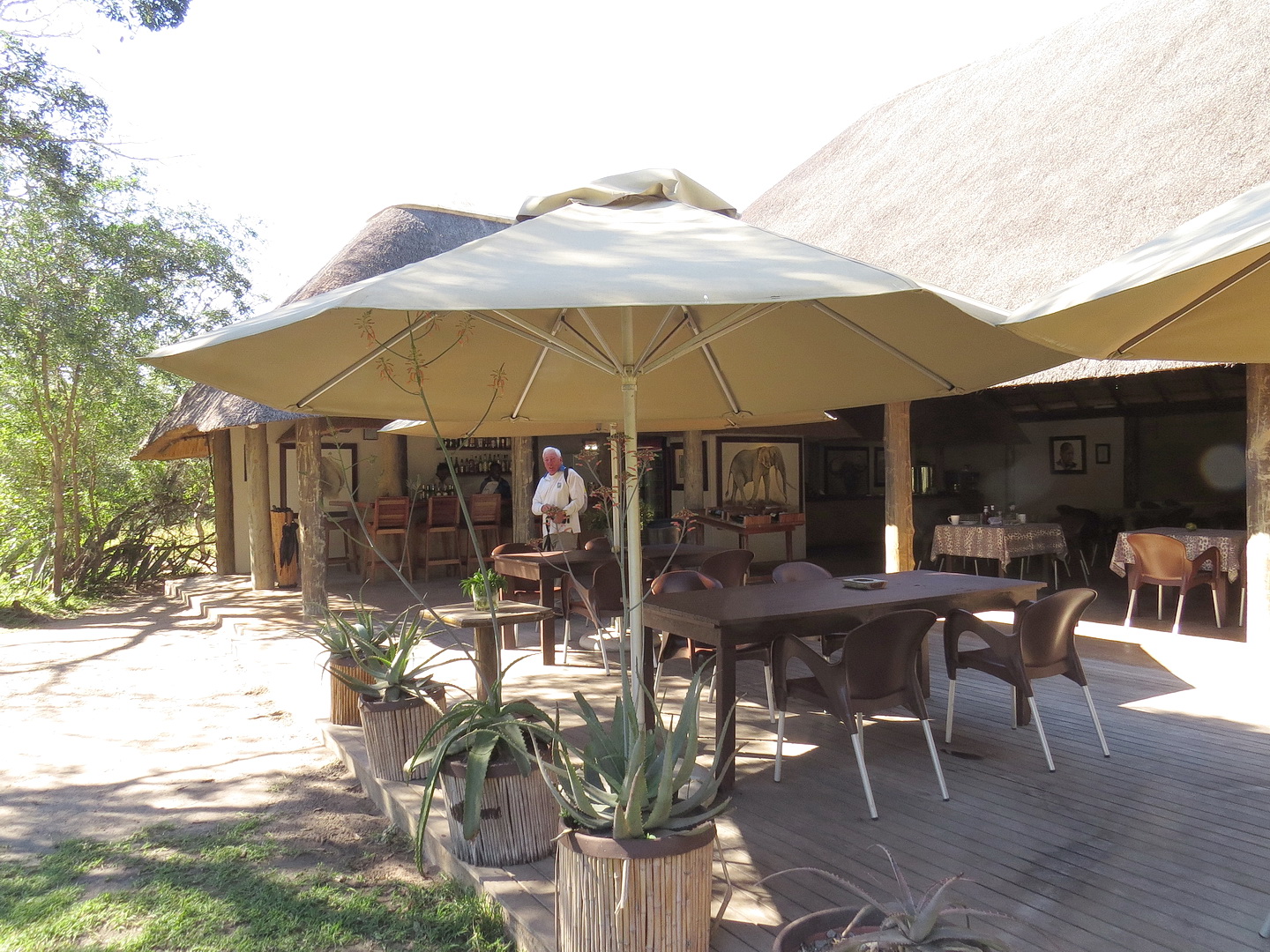 Tembe Lodge – Birds are our Story