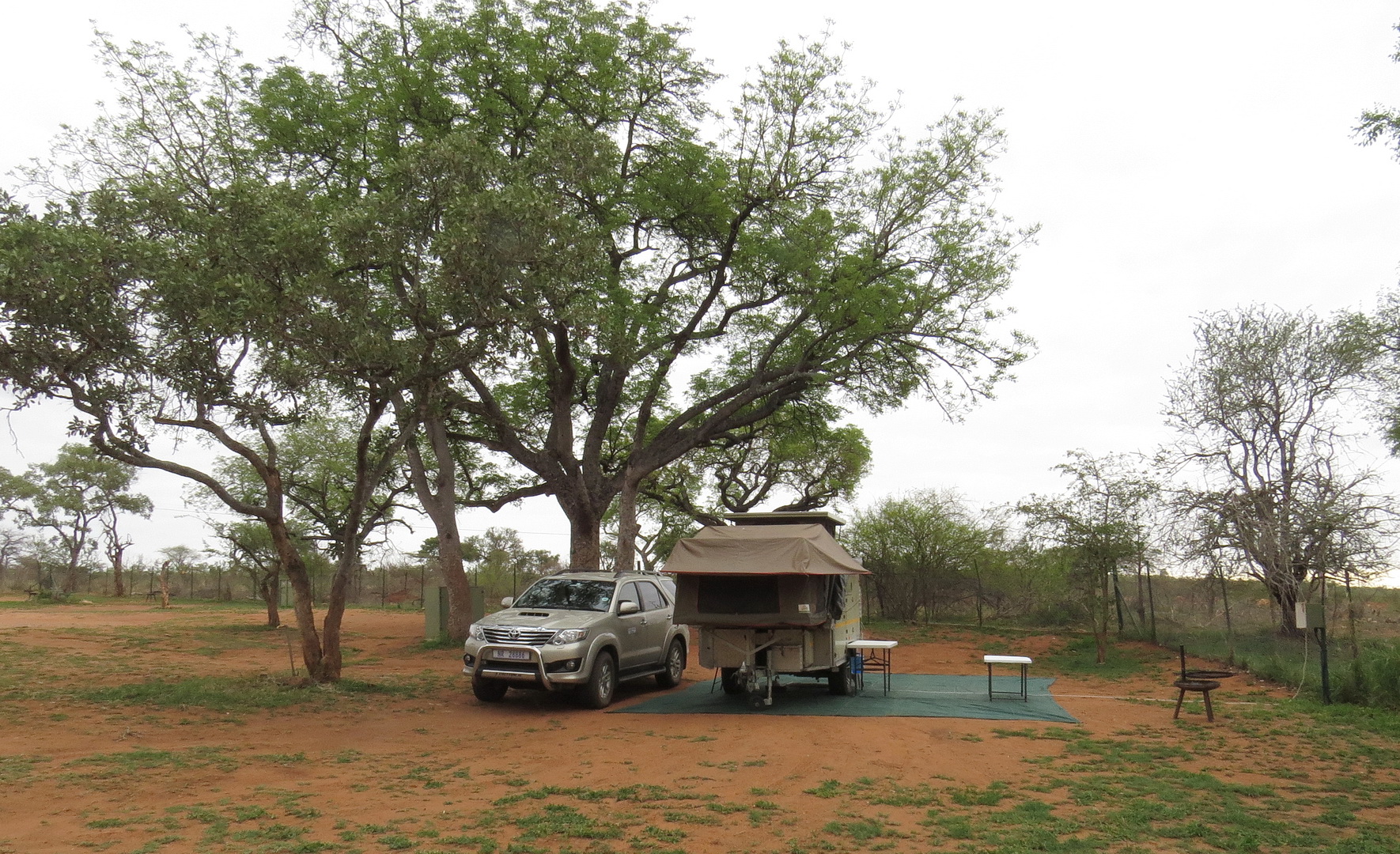 Kruger Part 2 – Malelane Campsite – Birds are our Story