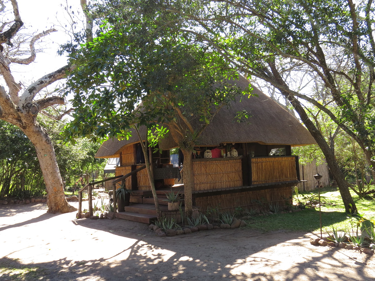Tembe Lodge – Birds are our Story