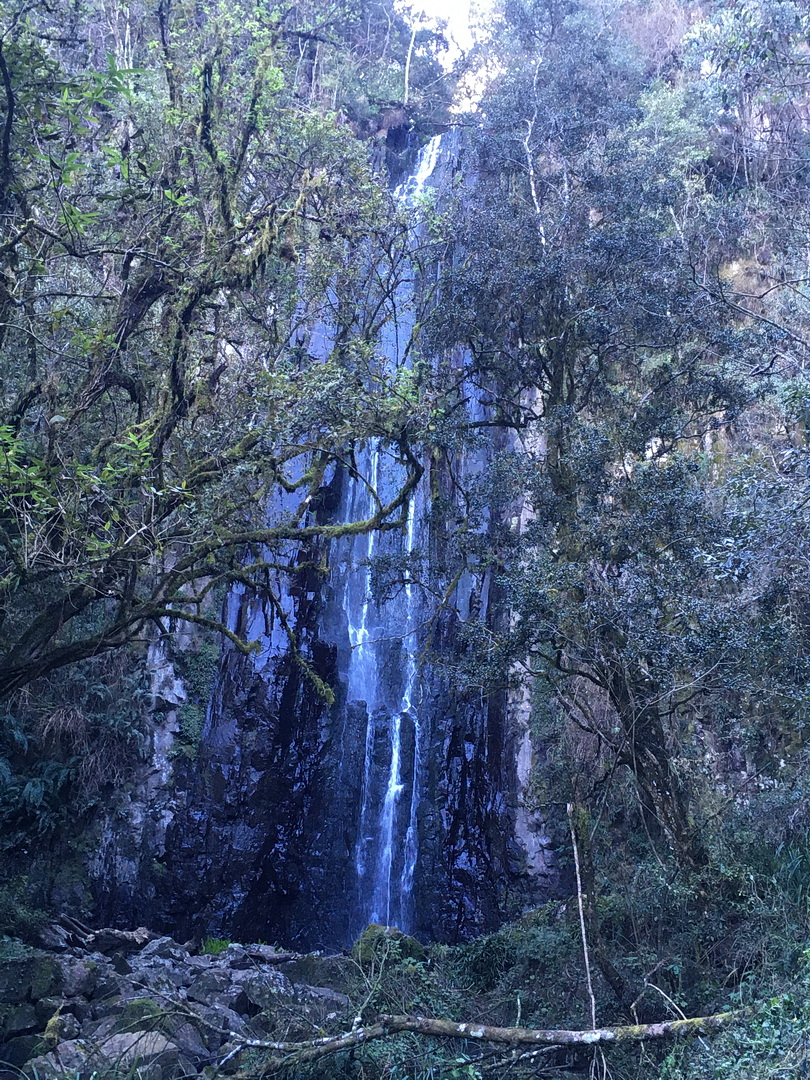 Twin Falls, Karkloof, KZN – Birds are our Story